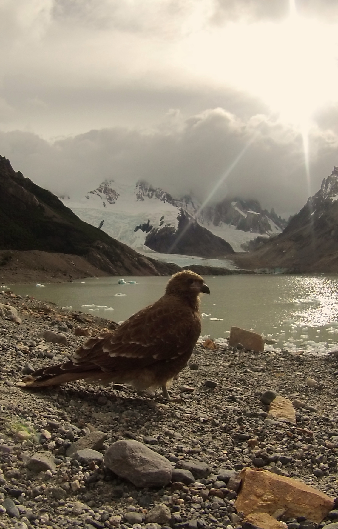 Envie de partir loin : l'appel de la liberté et de la vie nomade